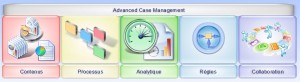 IBM Advanced Case Management – Information, Process and People – BPM ...